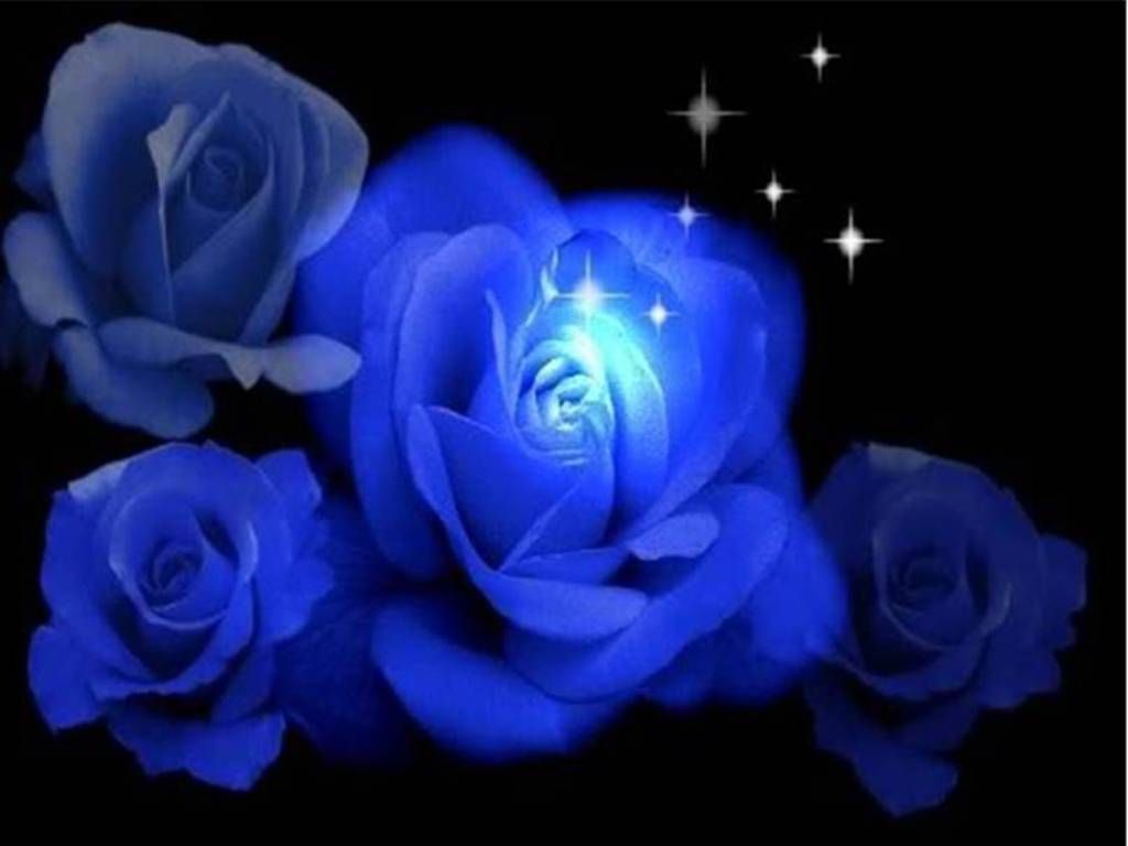 Blue Rose Healing Ways – Healing and Guidance to Light Your Way